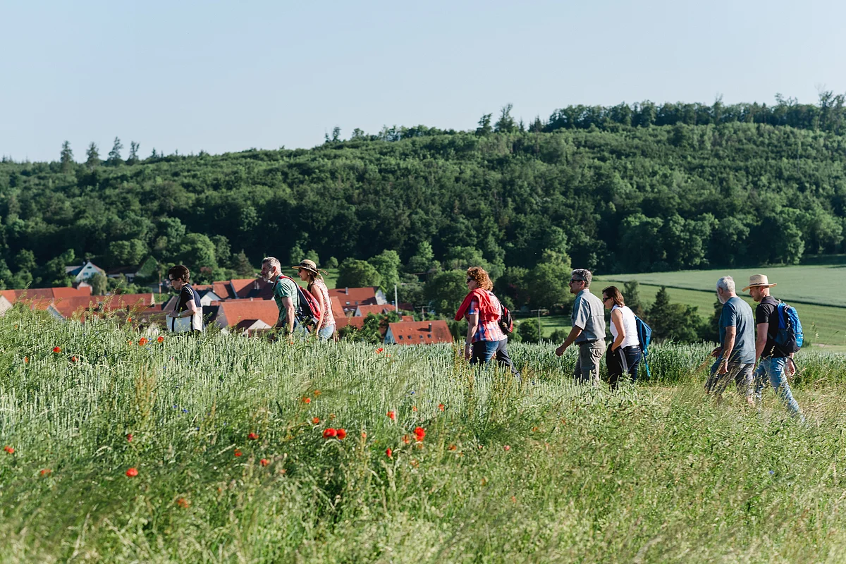 Lehrpfade - Geopark Ries
